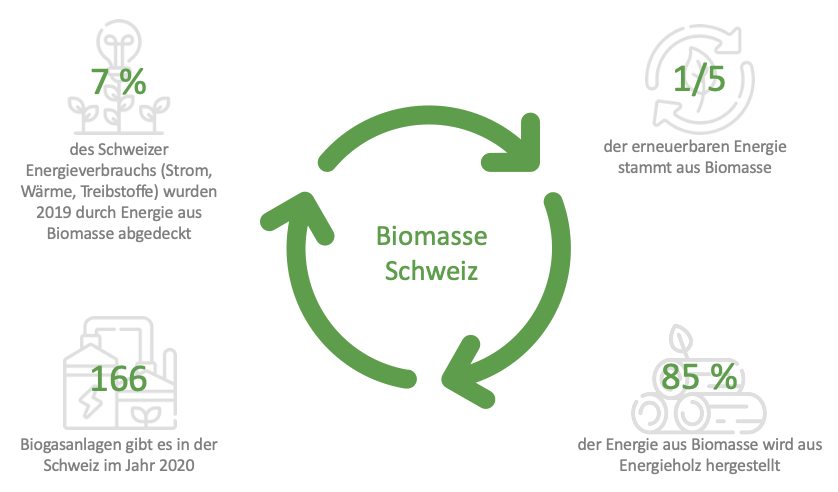 Biomasse: die Alleskönnerin » TOEL Recycling AG